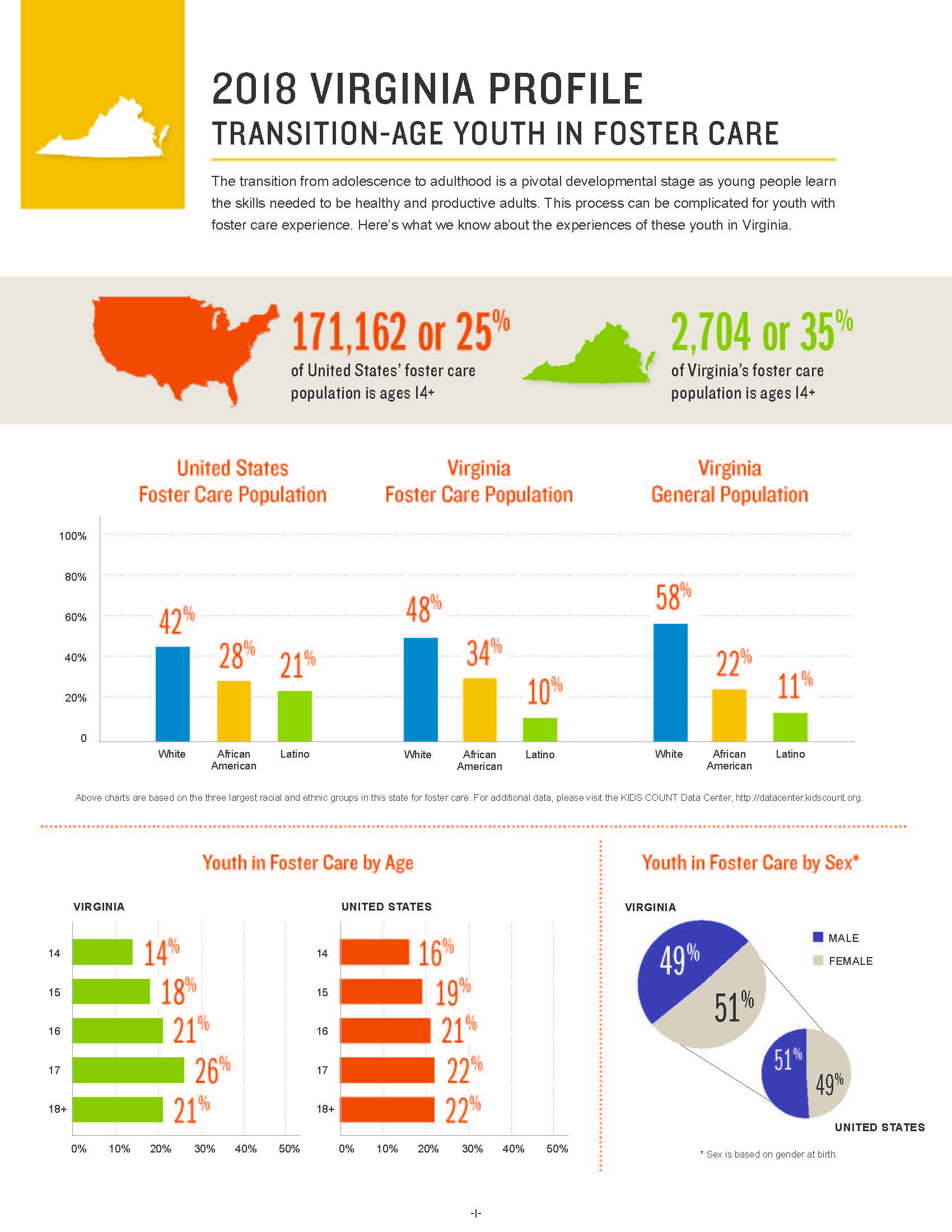 VIRGINIA PROFILE: Transition-Age Youth in Foster Care | Bristol ...